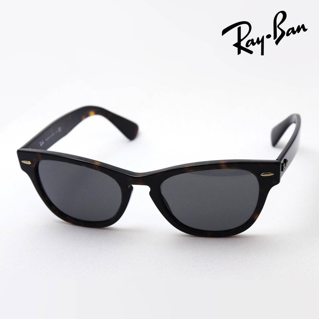 レイバン サングラス Ray-Ban RB2201 902B1 ララミー – GLASSMANIA -TOKYO AOYAMA-